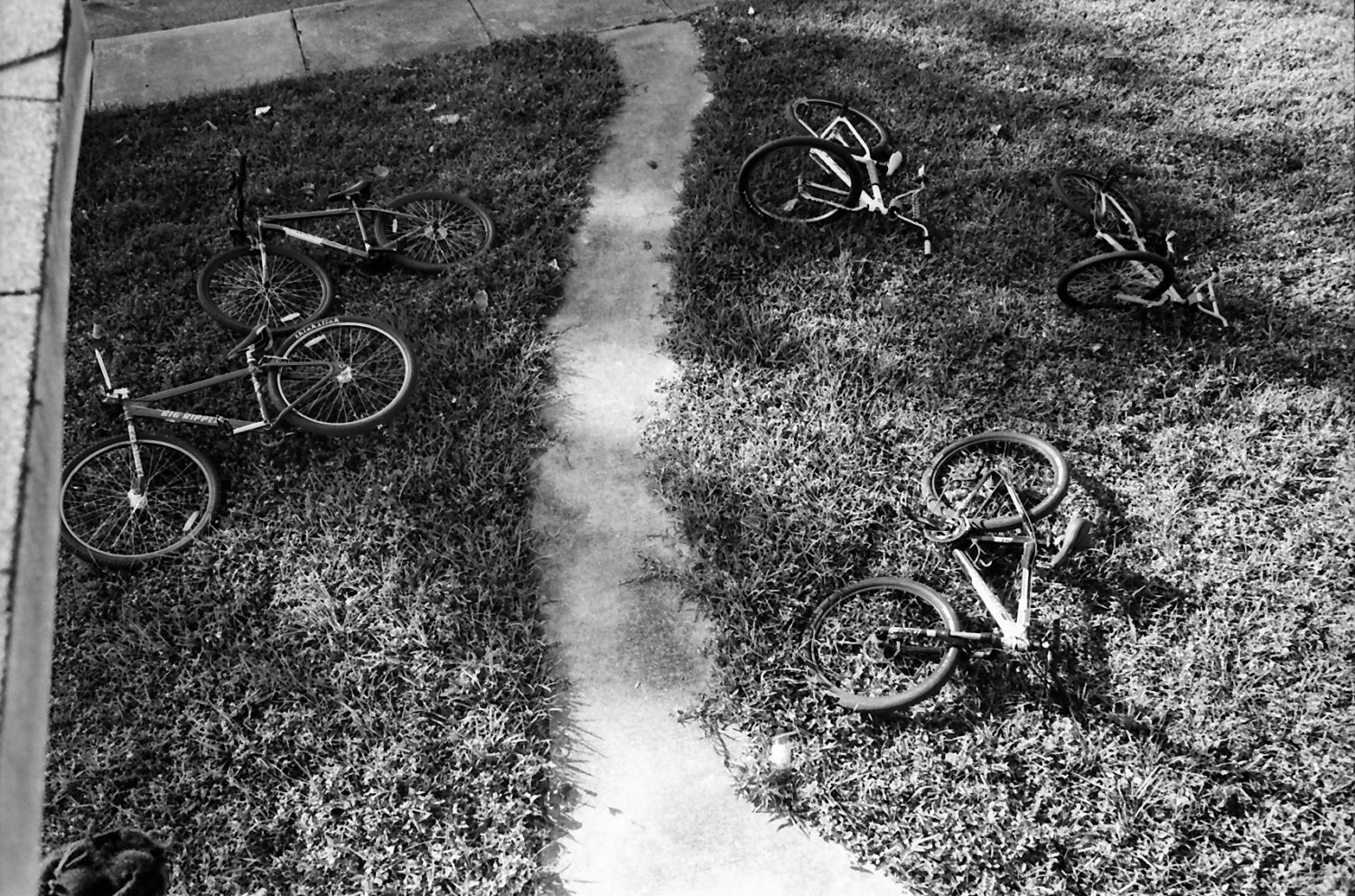 Terence Price - Oolite Arts