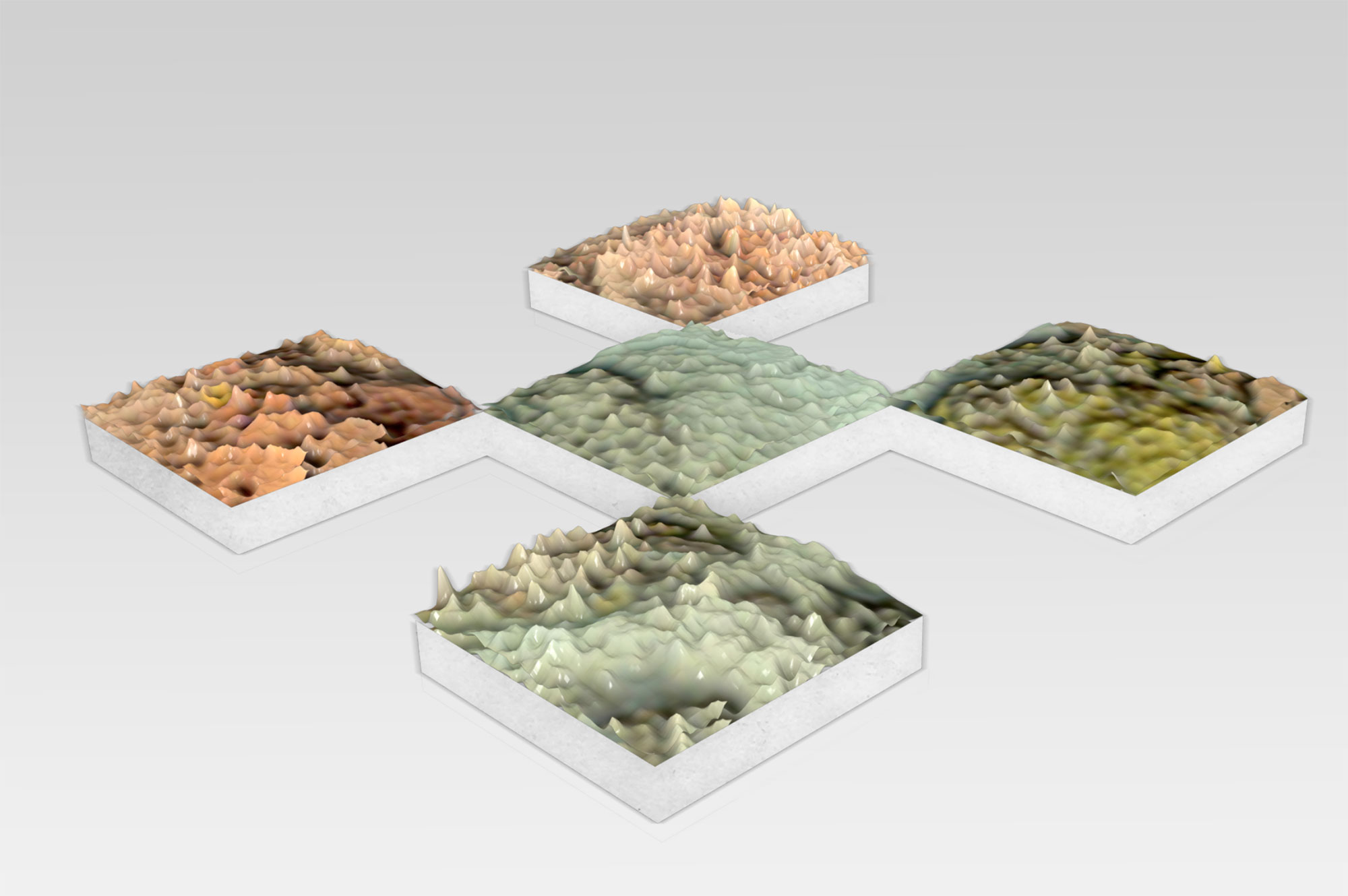 Lauren Shapiro - Oolite Arts