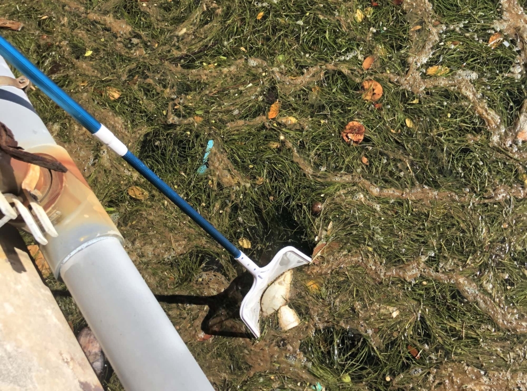 Shireen Rahimi: What Happened to the Bay?! - Oolite Arts