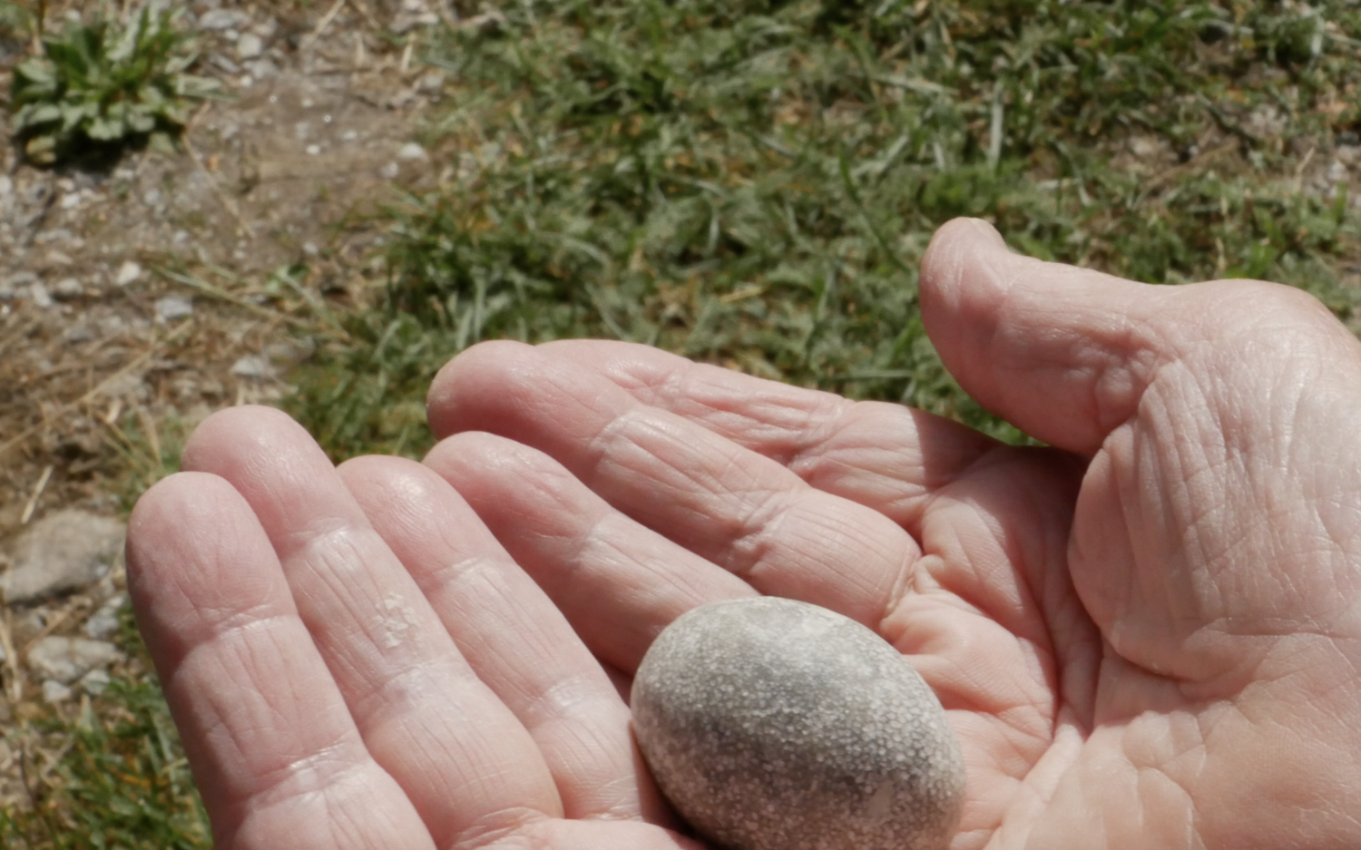 Emma Cuba - Oolite Arts