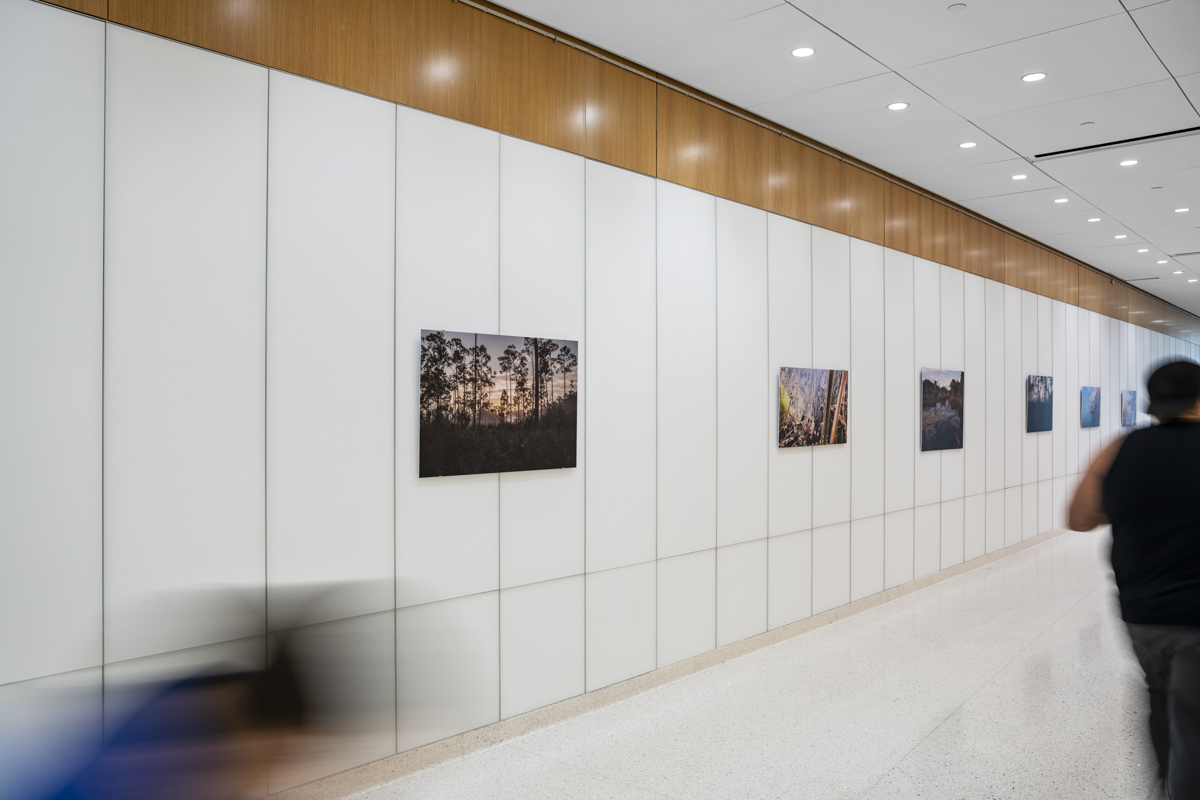 The future and the past are one: Onajide Shabaka - Oolite Arts