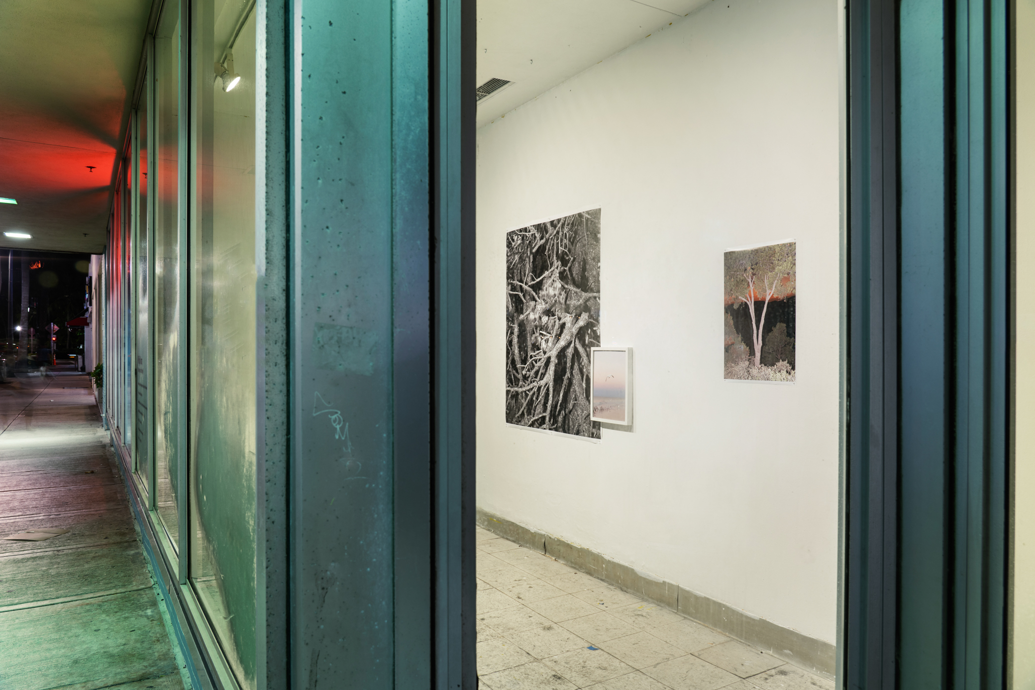 Phillip Karp Reveals First Solo Show at North Beach Storefront - Oolite ...