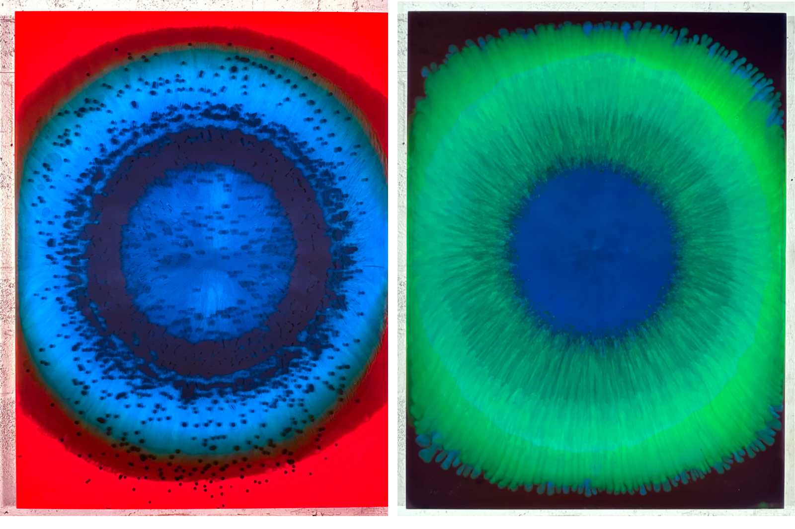 Gavin Perry: Invert/Retro - Oolite Arts