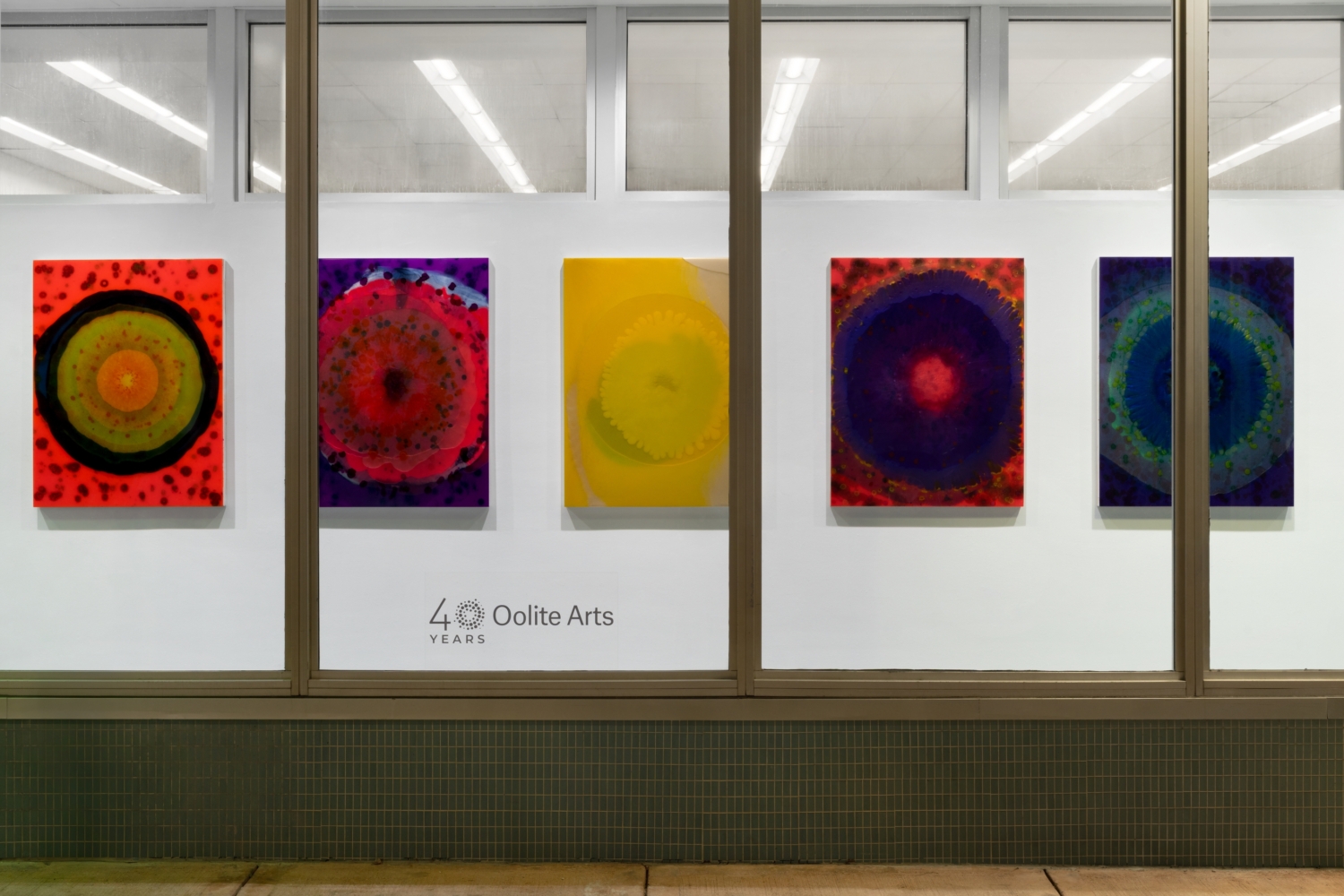 Two New Exhibitions at the Windows @ Walgreens in Miami Beach - Oolite Arts